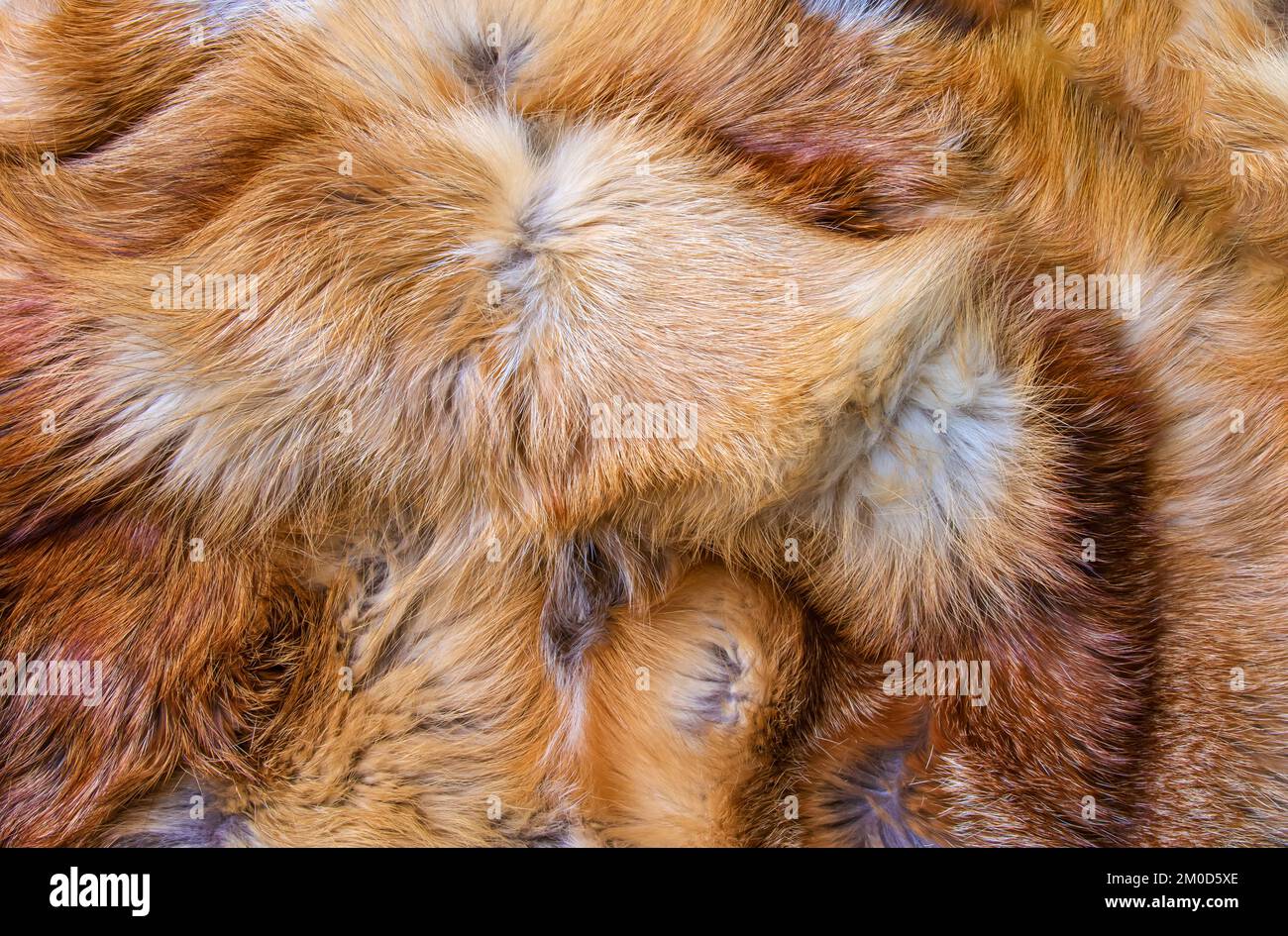 Fox fur close up. Redhead animal fur background, fur pile texture Stock ...