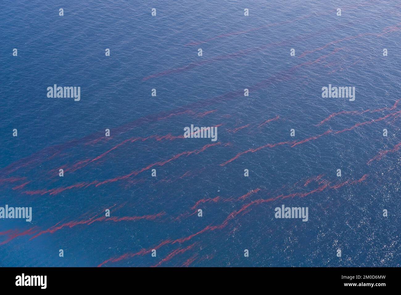 Office of the Administrator (Lisa P. Jackson) - ASPECT Flight over ...