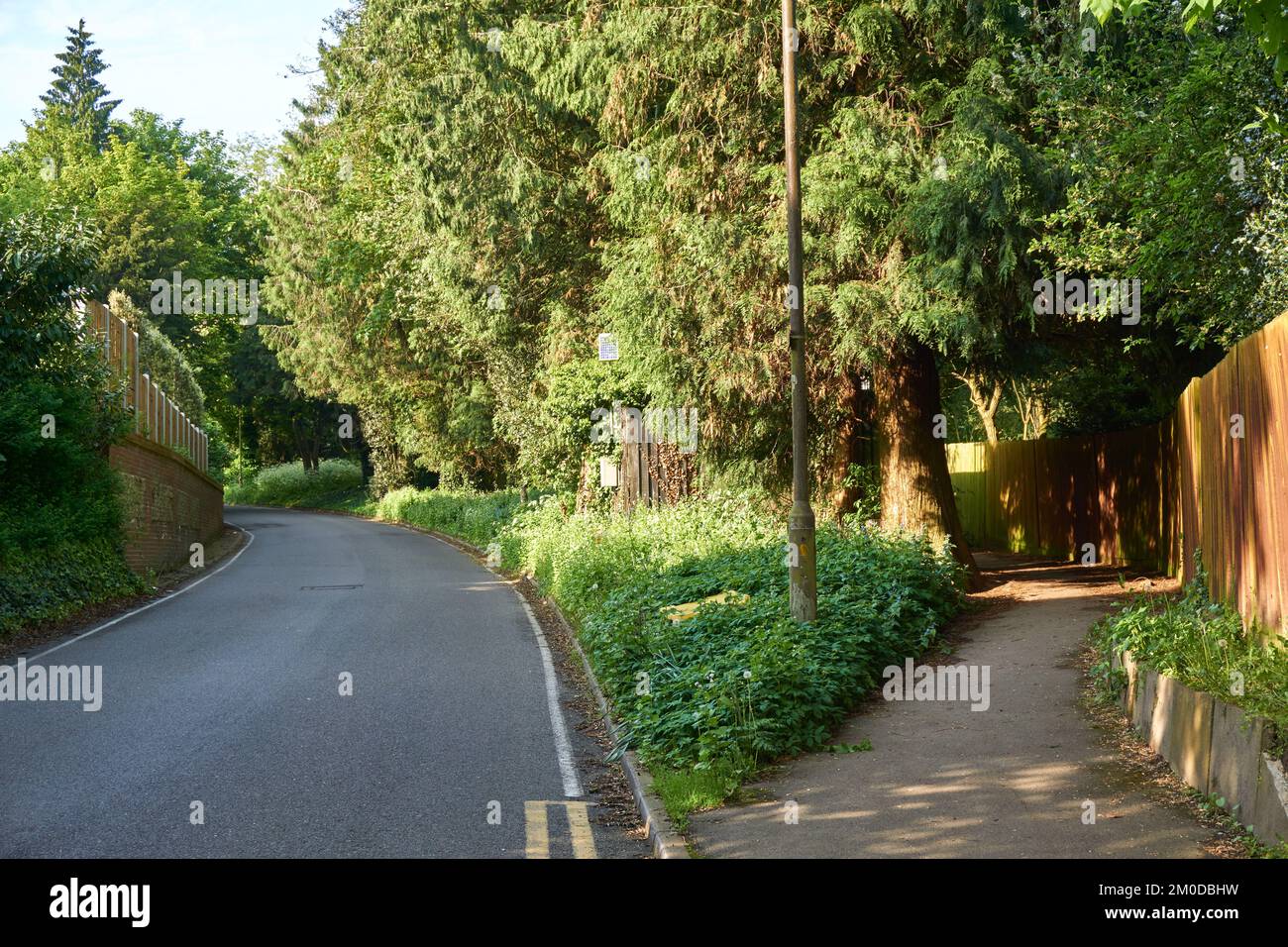 Summer country pathway hi-res stock photography and images - Alamy