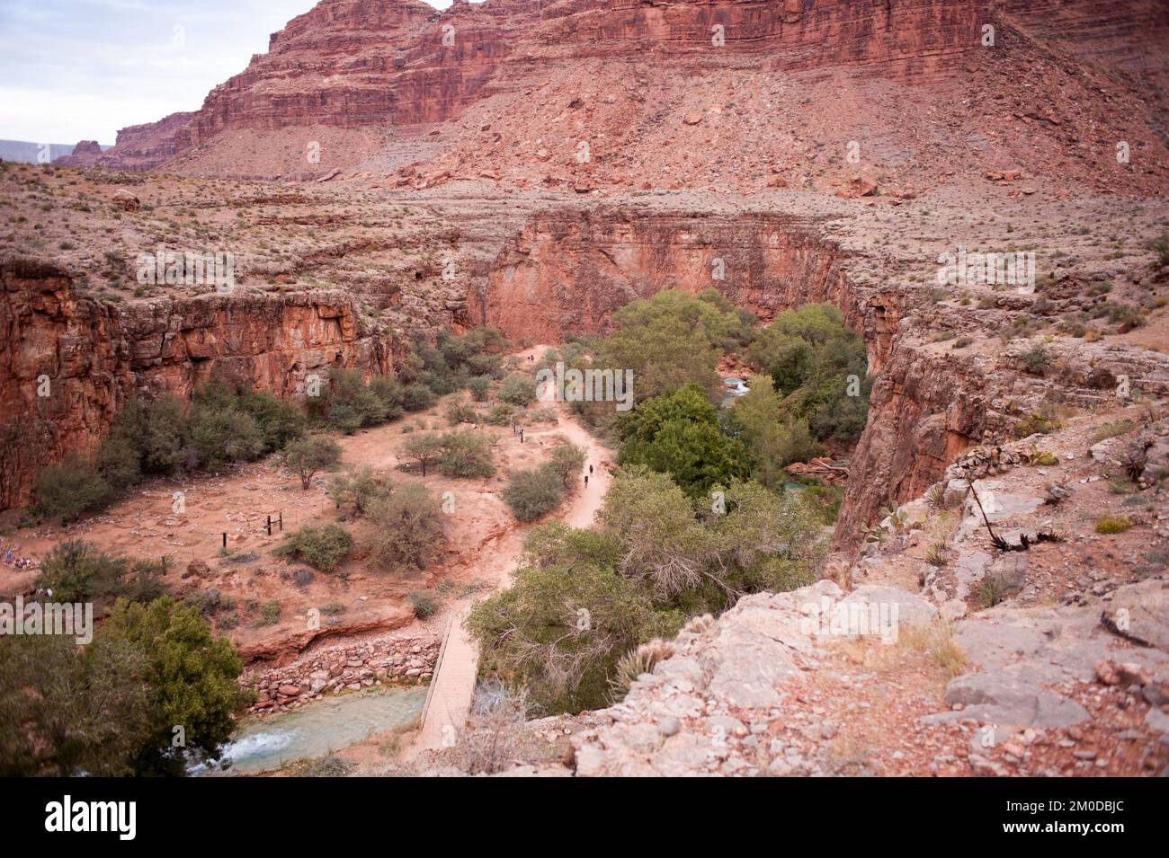 Office of the Administrator - Native Americans in Arizona - image of ...