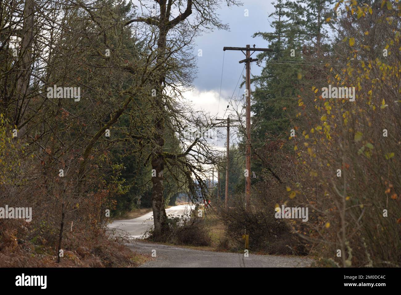 Country Road to the Mima Falls Trail Stock Photo - Alamy