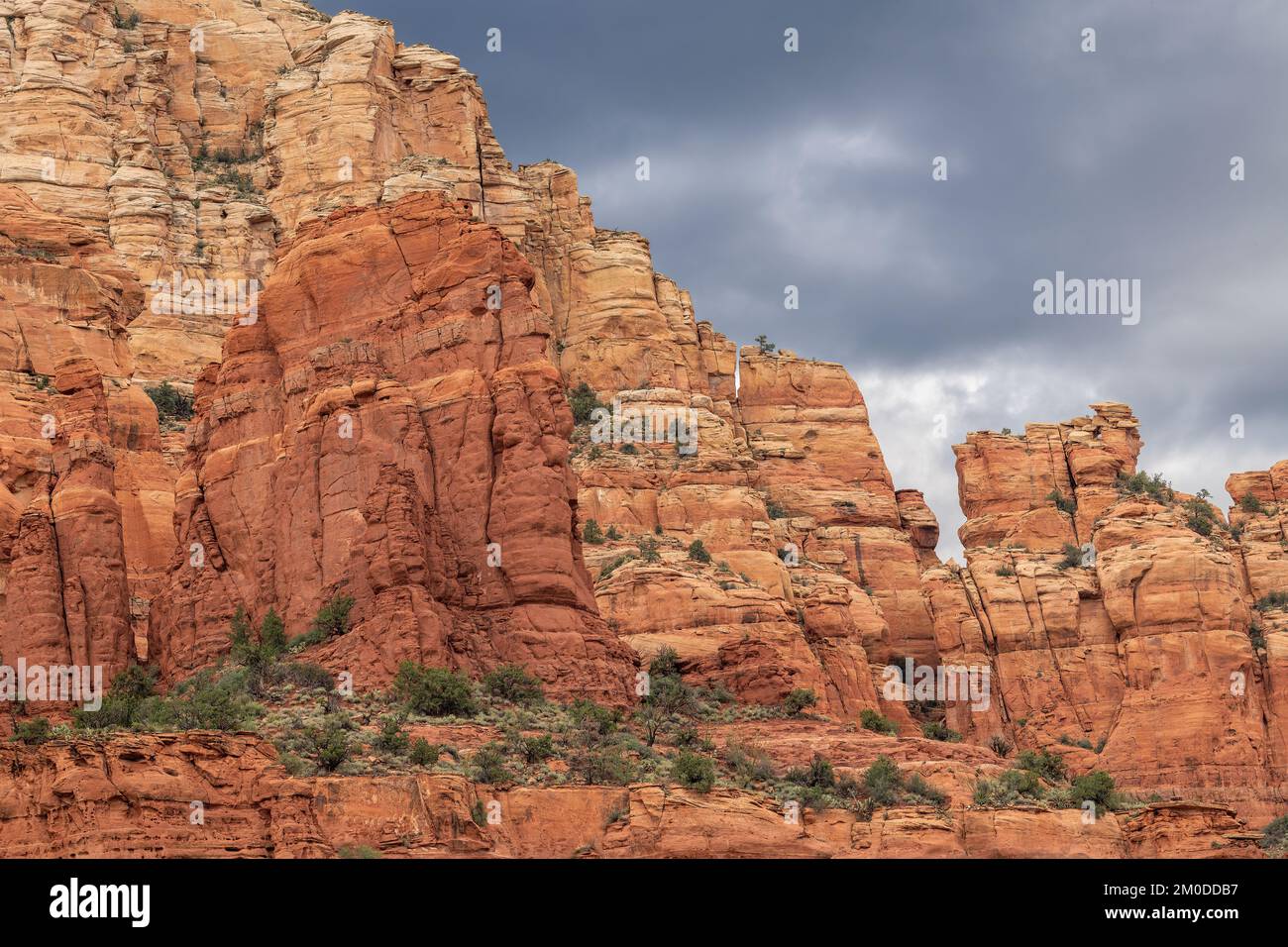 Semi arid terrain hi-res stock photography and images - Alamy