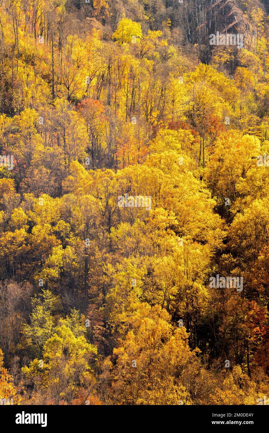 Autumn colors in Great Smoky Mountains NP, TN, USA, late October, by ...