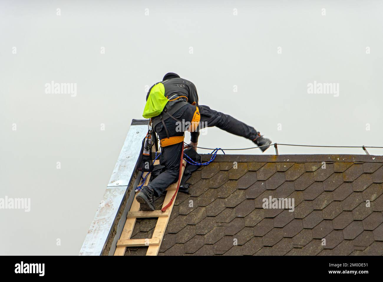 Repairman climbs a ladder while repairing the roof Stock Photo - Alamy