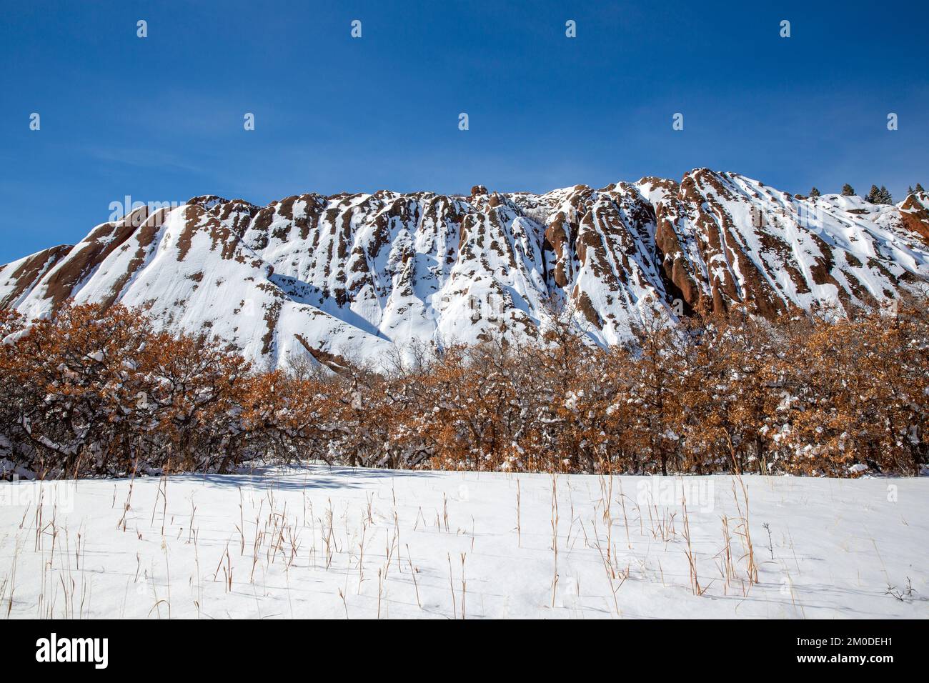 Roxborough State Park in Colorado covered with snow in winter Stock ...