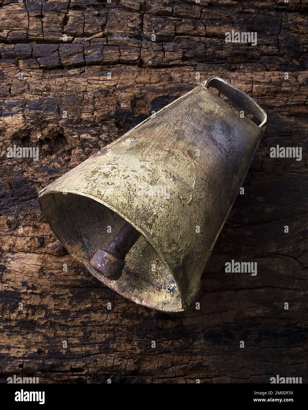 The bell is used on the neck of cattle mainly on bovine animals Stock ...