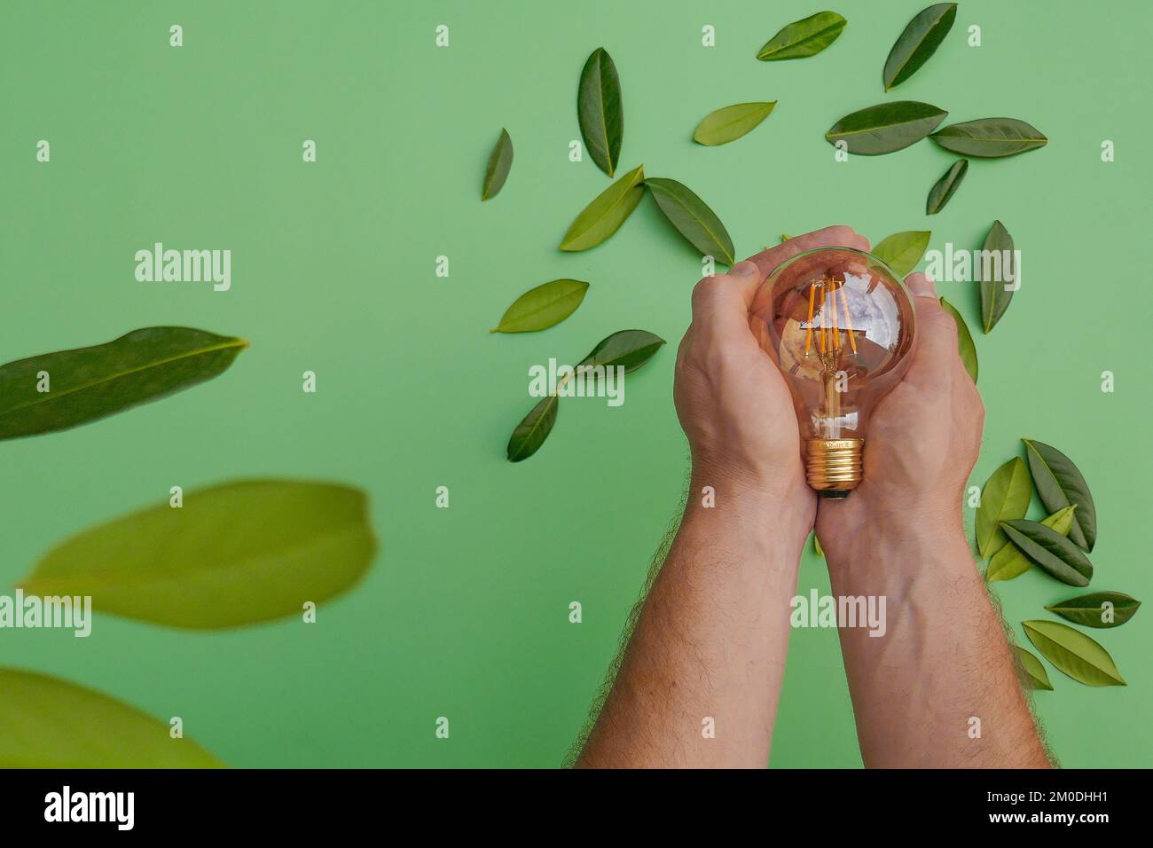 Renewable energy.Electricity and green energy.Light bulb in a male hand ...