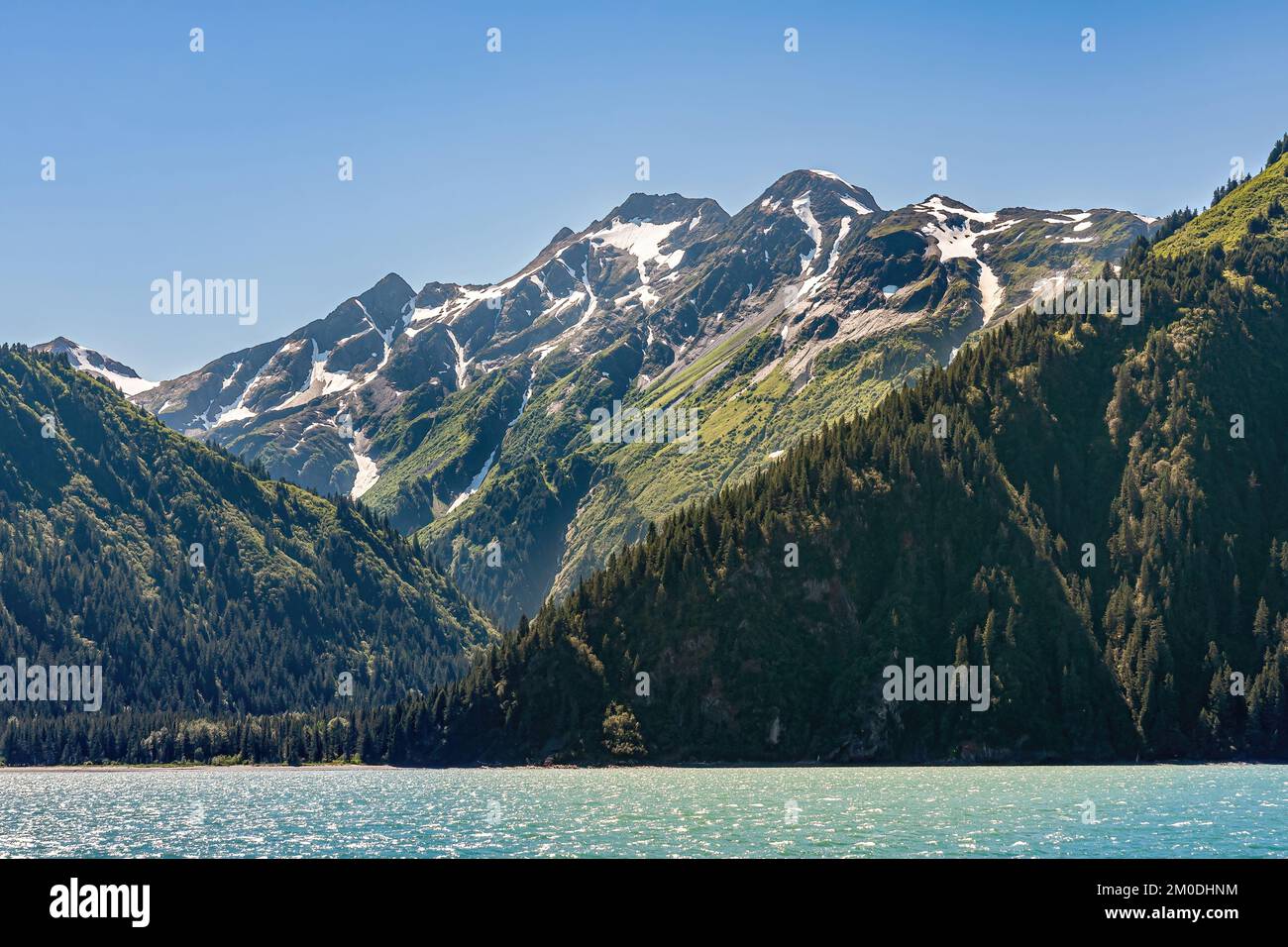 Resurrection Bay, Alaska, USA - July 22, 2011: Shades of green forest ...