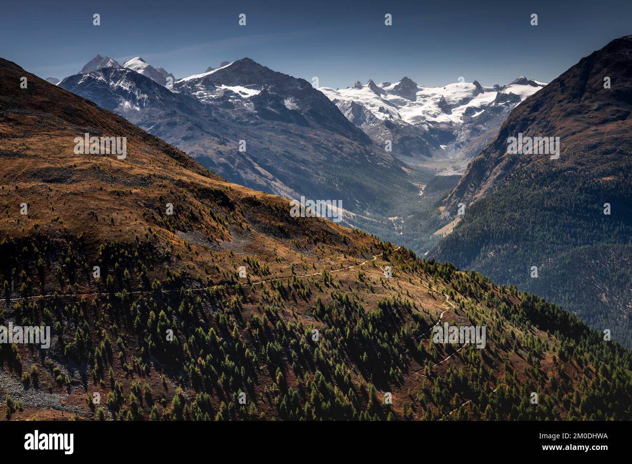 Graubunden switzerland forest hi-res stock photography and images - Alamy