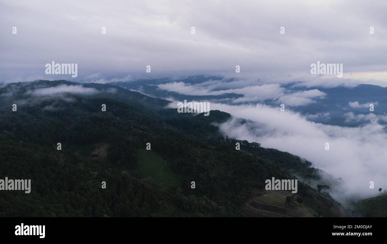 Aerial view of tropical forest with mist in the morning. Top view from ...