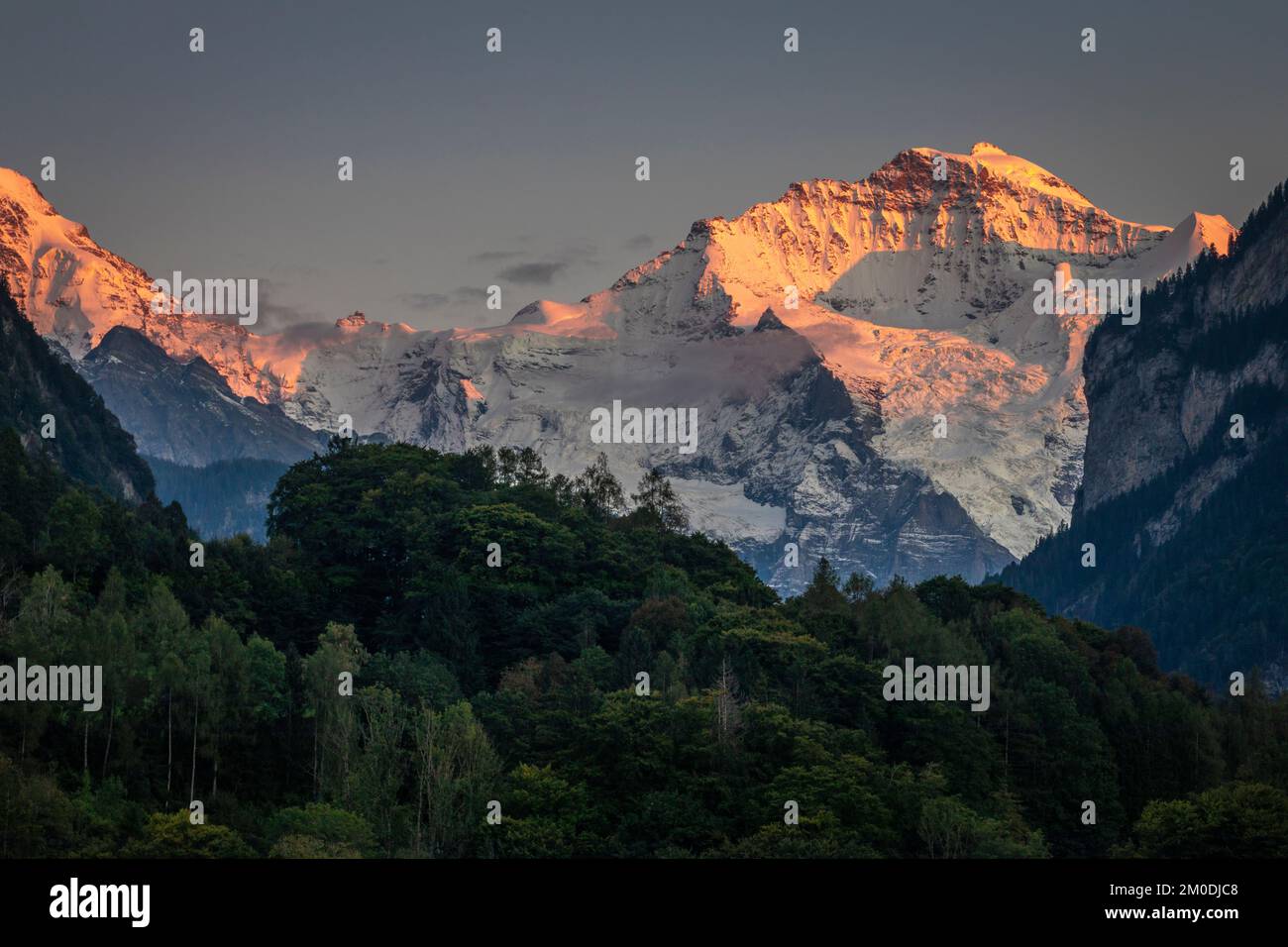 Swiss alps jungfrau sunrise hi-res stock photography and images - Alamy