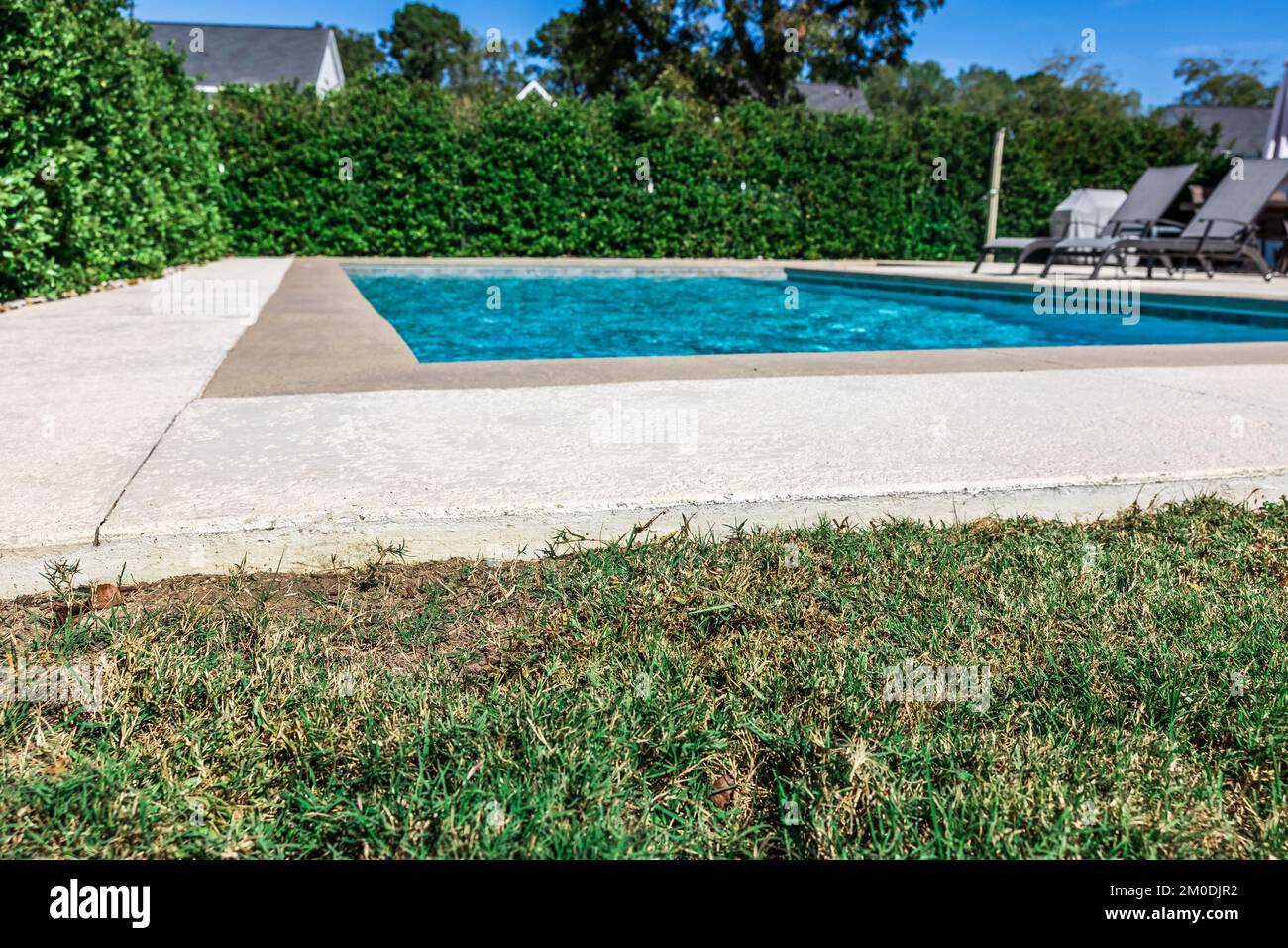 A rectangular new swimming pool with tan concrete edges in the fenced ...