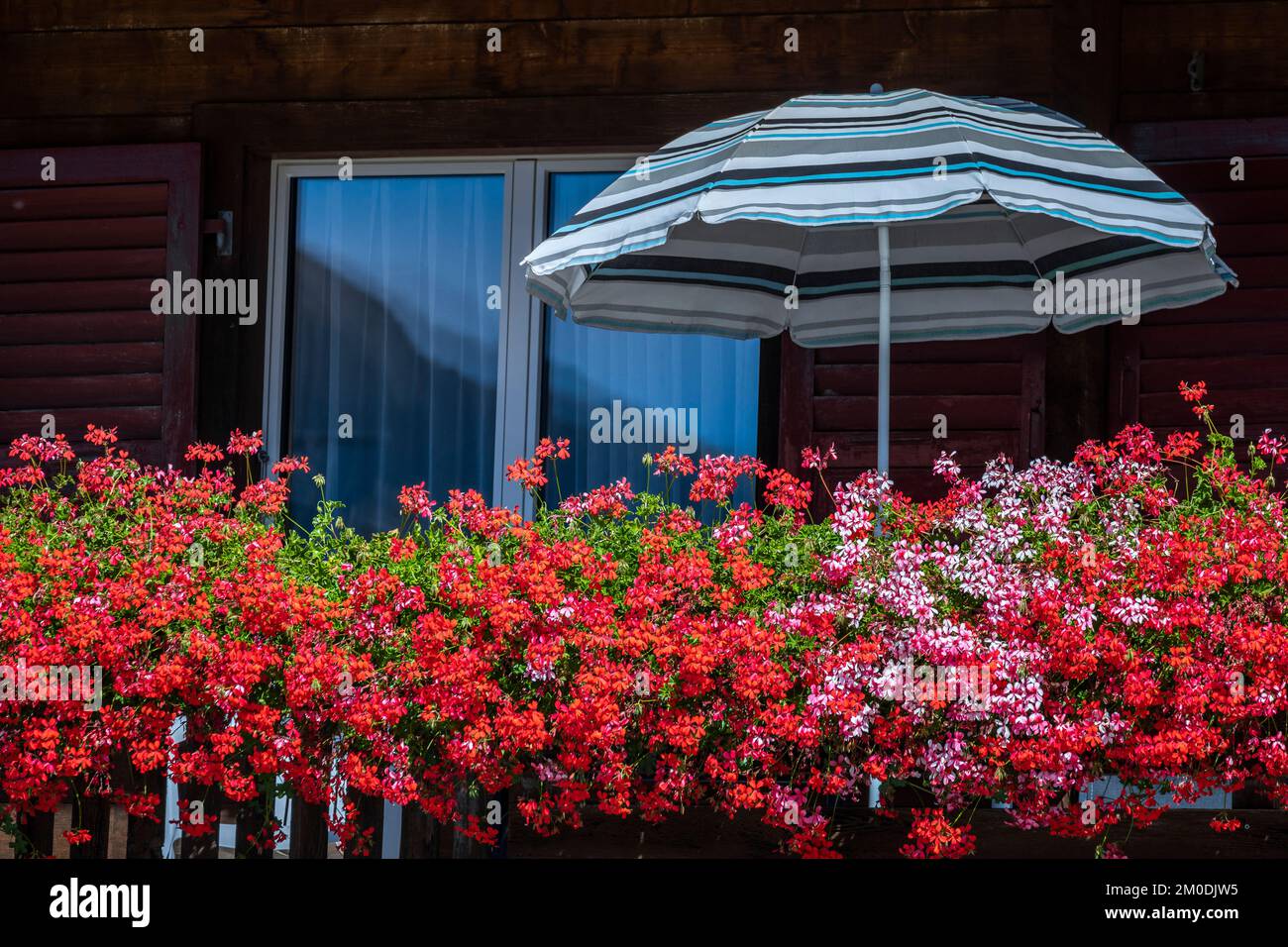 Colorful flowers in rustic balcony at springtime with parasol, Interlaken, Switzerland Stock ...