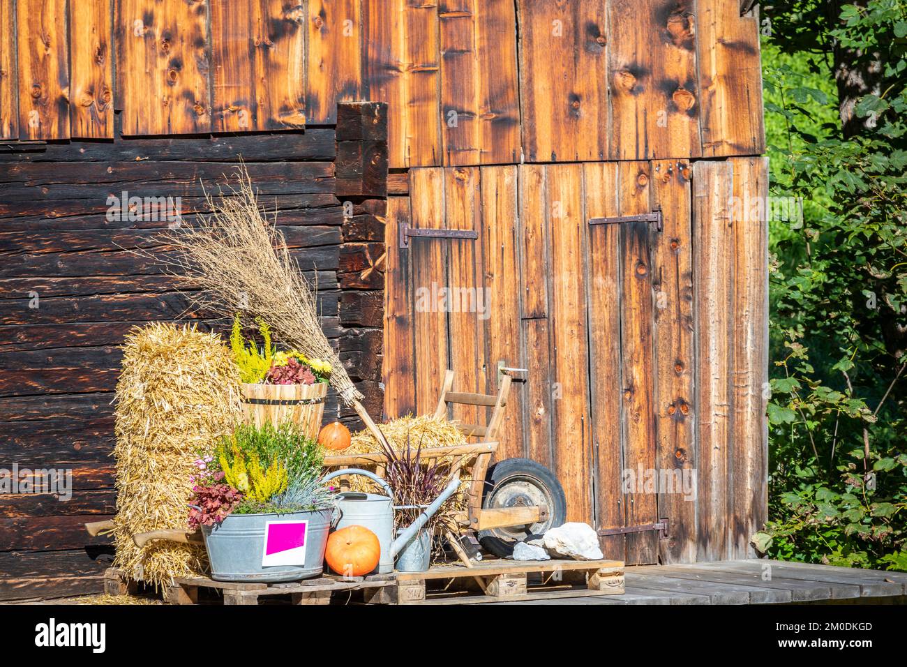 Colorful flowers in rustic barn at springtime with hay, Interlaken, Switzerland Stock Photo - Alamy
