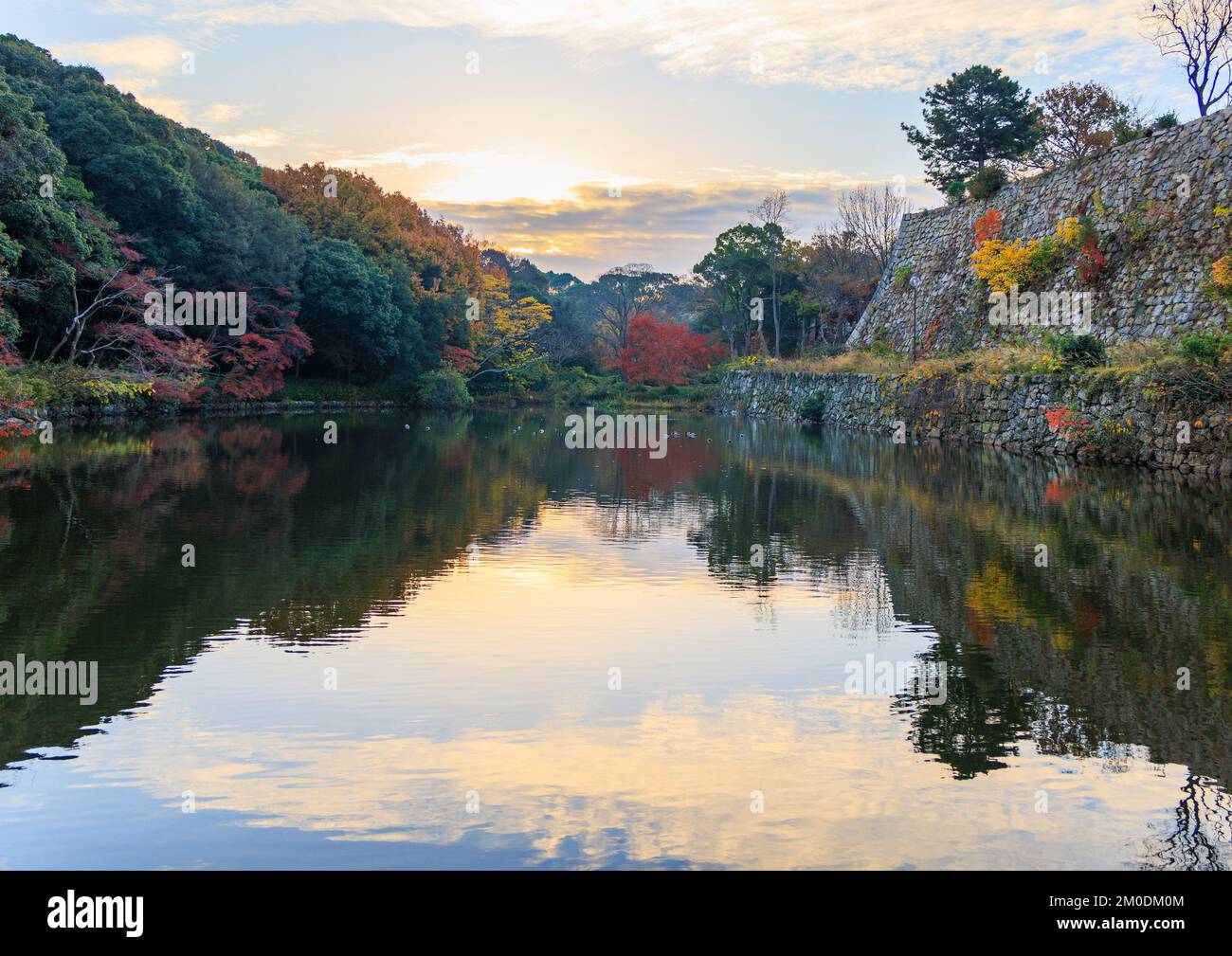 Beautiful fall color in trees by moat and stone castle wall at sunrise ...