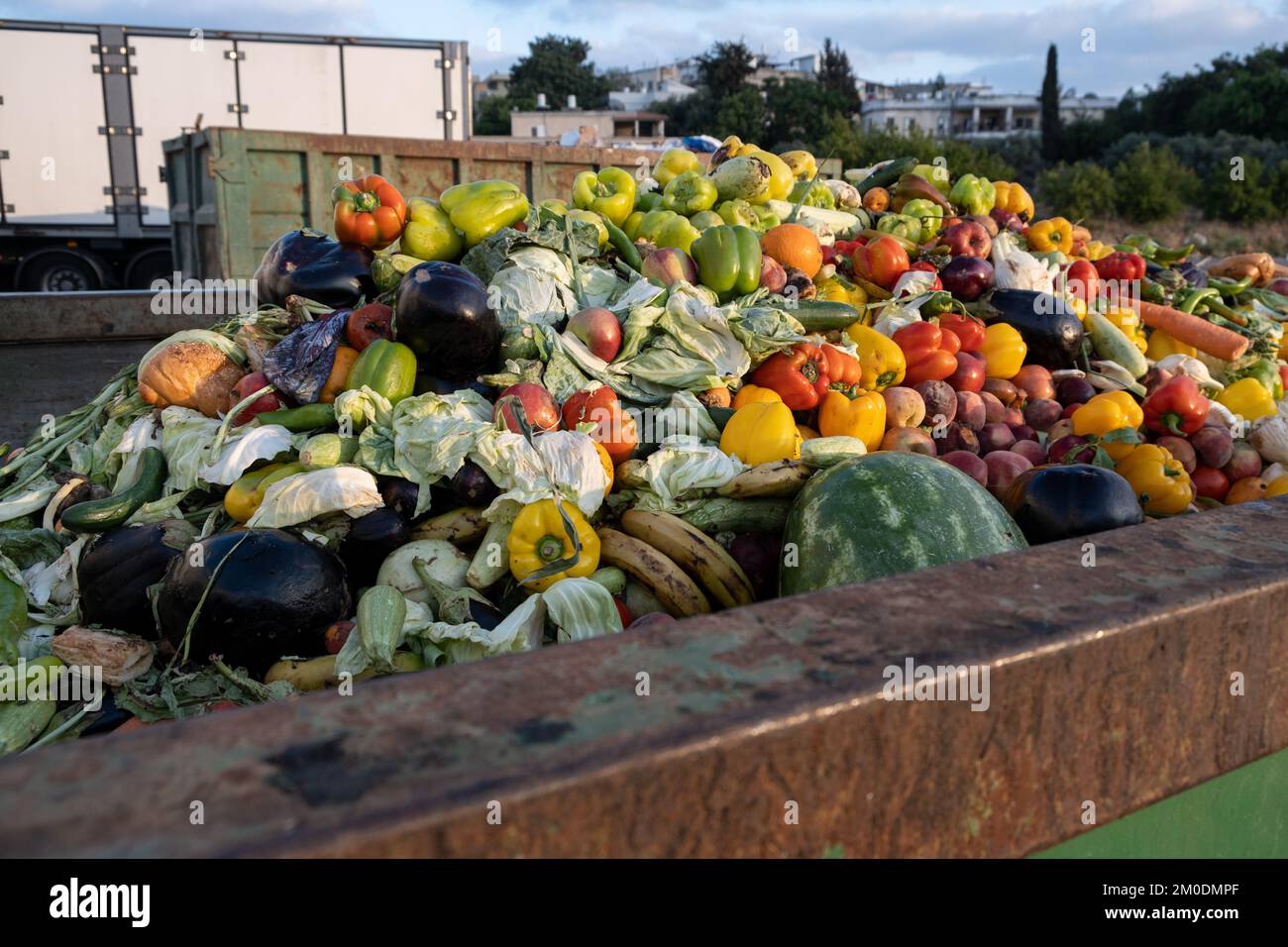 Bio Waste of Expired Vegetables in a huge container, Organic mix in a ...