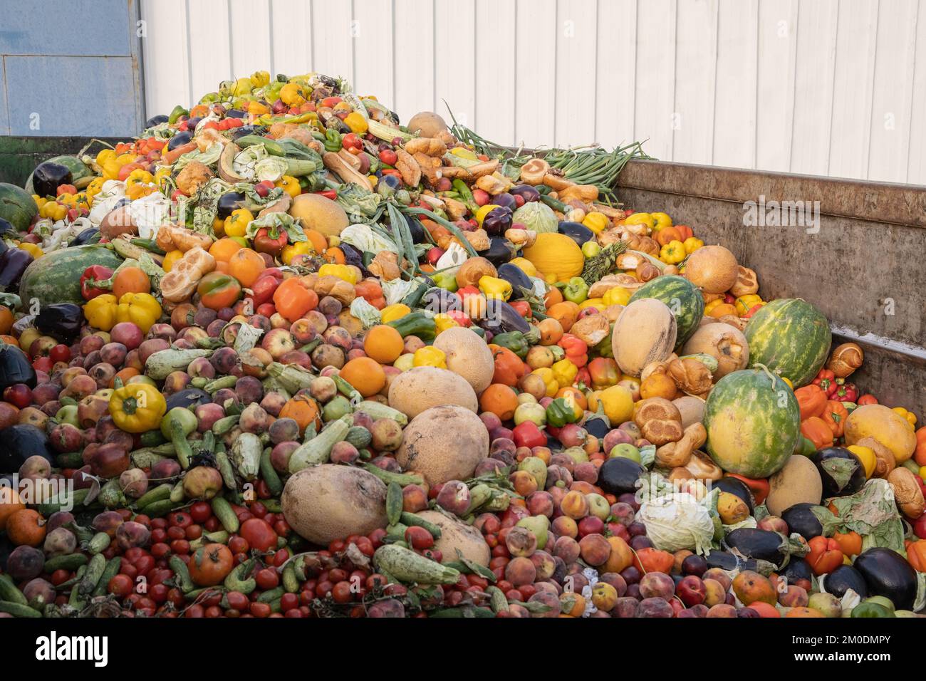 Supermarket vegetable waste bin hi-res stock photography and images - Alamy