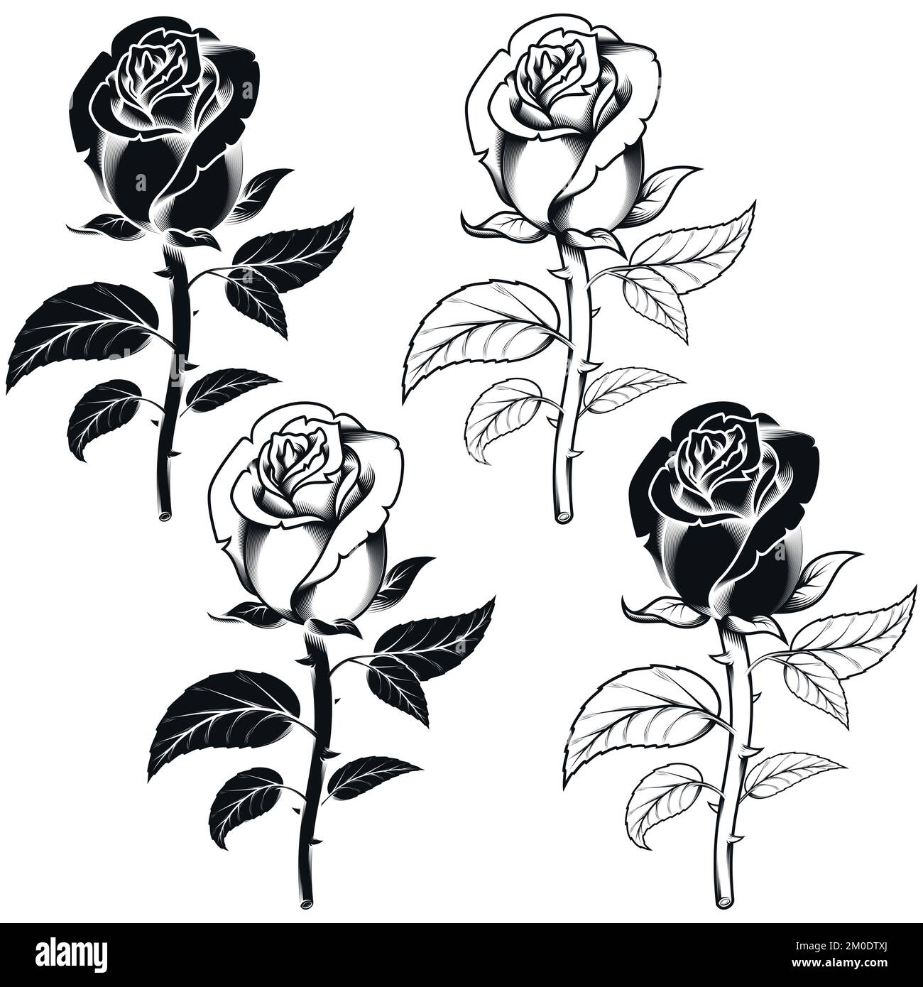 Three petal flower Stock Vector Images - Alamy