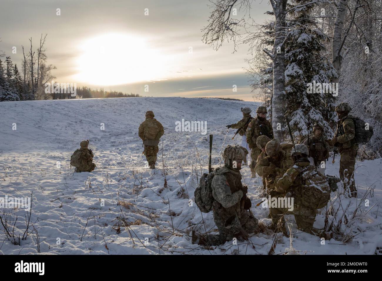 Alaska Army National Guard Infantrymen assigned to Avalanche Company ...