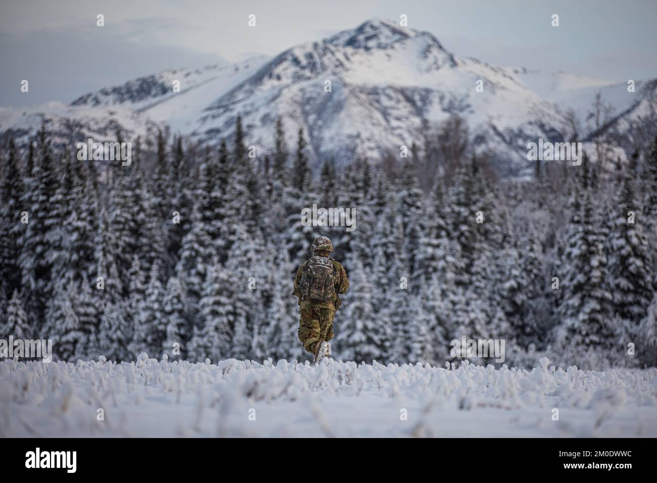 Alaska Army National Guard Infantryman assigned to Avalanche Company ...