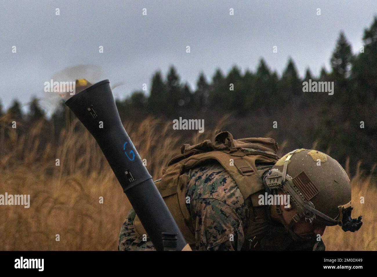 U.S. Marine Corps Lance Cpl. Anthony Ross, a mortarman with 1st ...