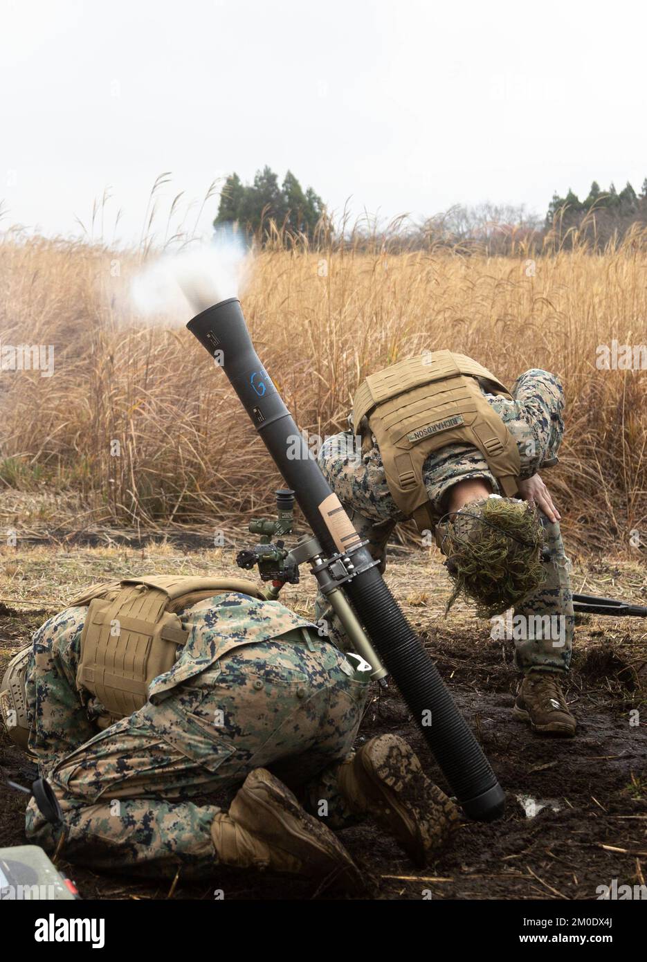 U.S. Marines with 1st Battalion, 2d Marines fire an M252 81mm mortar ...