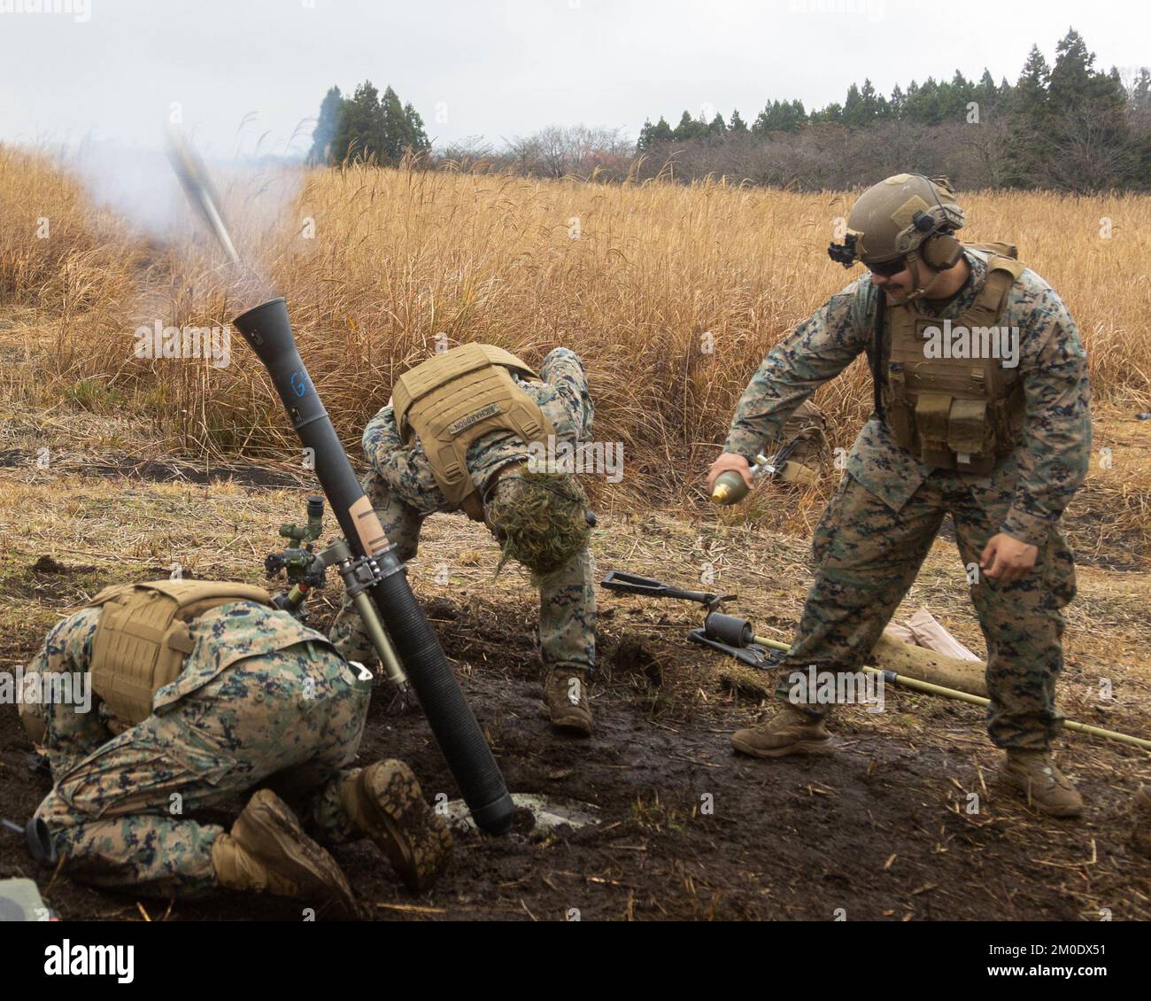 U.S. Marines with 1st Battalion, 2d Marines fire an M252 81mm mortar ...