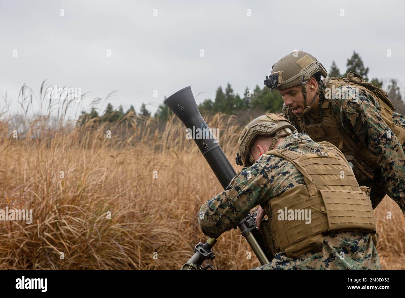 U.S. Marine Corps Cpl. Bailey Ezell (Left), and Lance Cpl. Anthony Ross ...