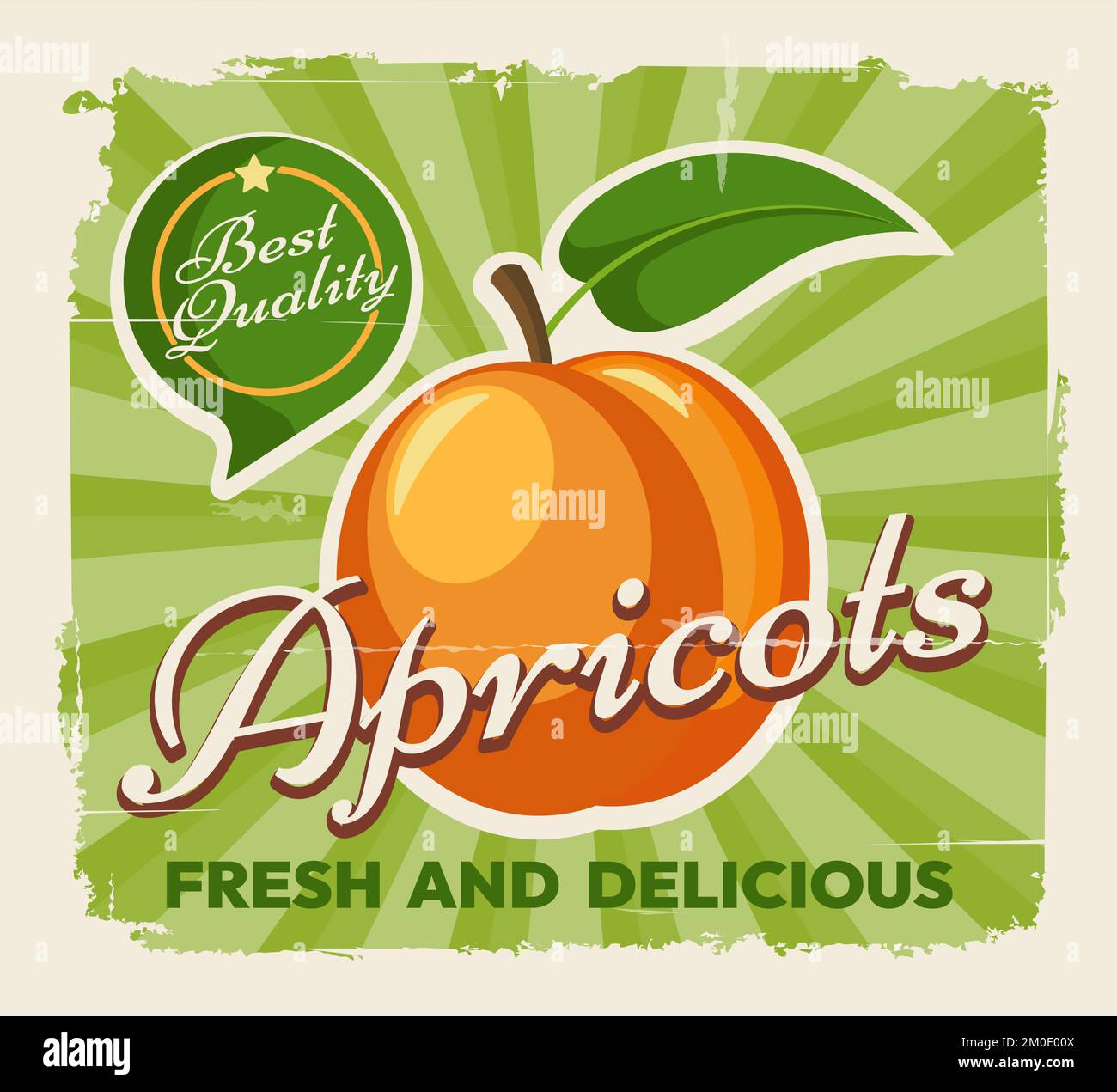 Apricots retro poster. Apricot fruits old style advertisement ...