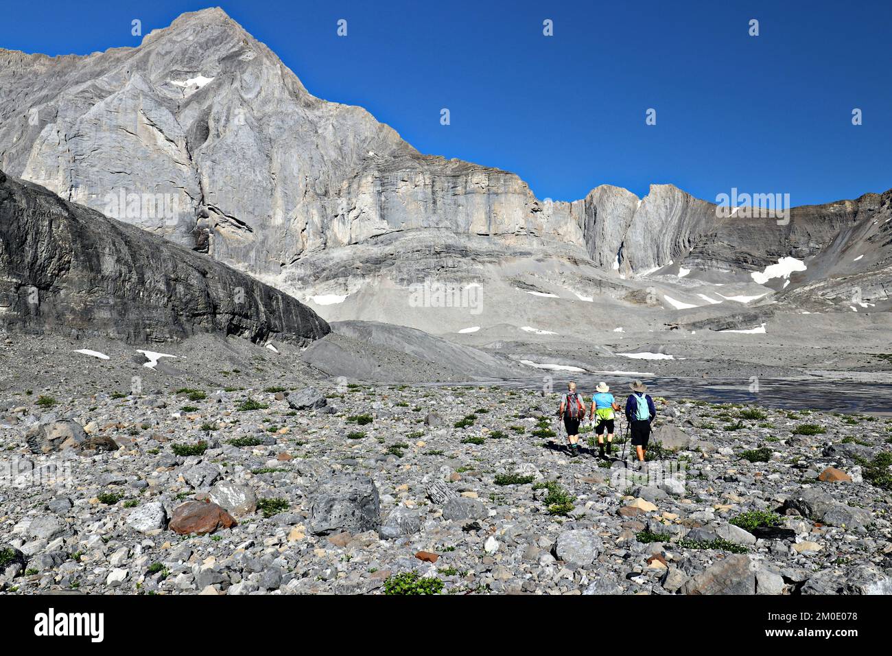 Hiking through the glaciers, rocks, and wildflowers on Petain Glacier ...