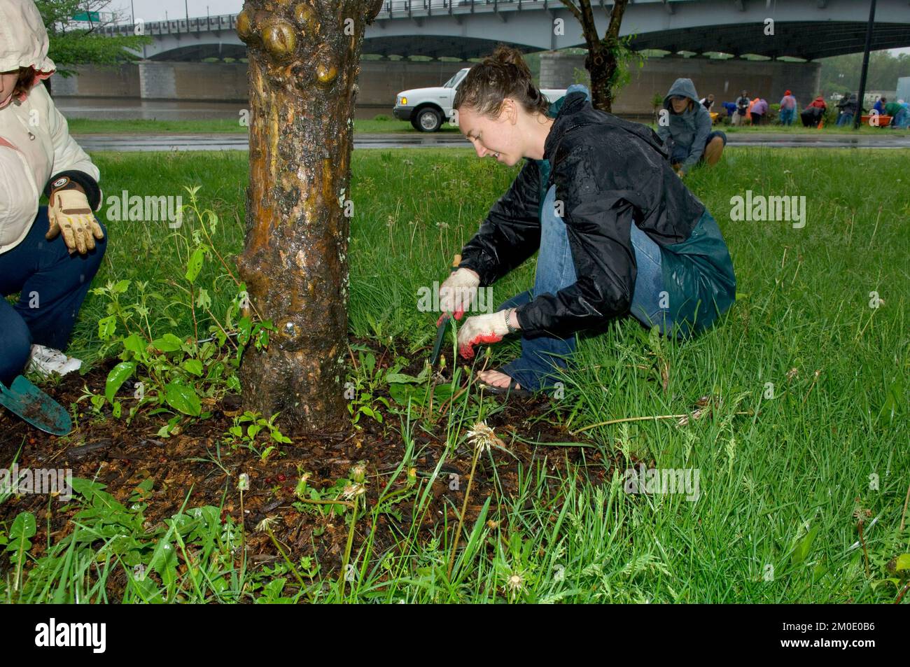 Earth Day - Earth Day Events , Environmental Protection Agency Stock ...