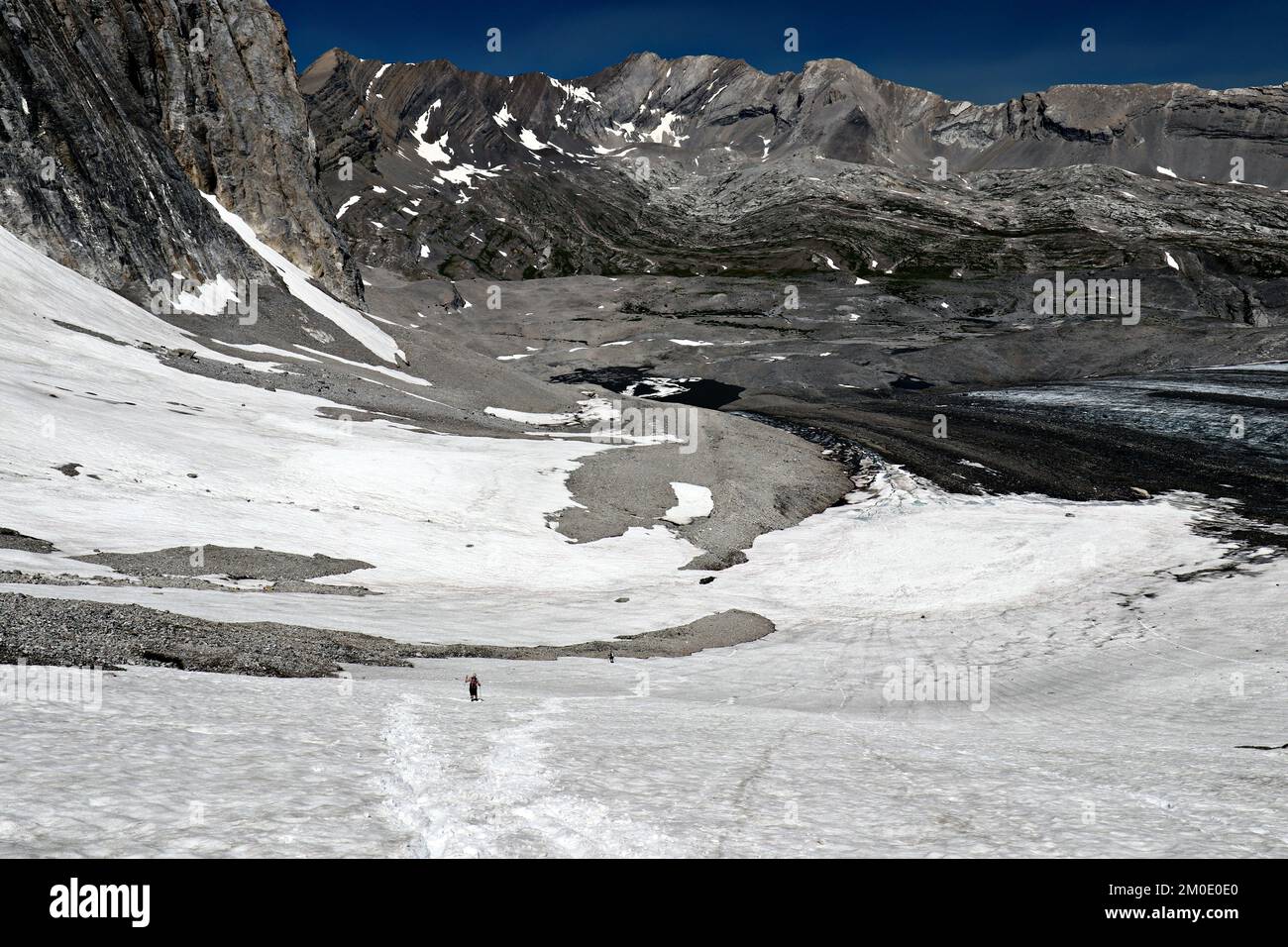 Hiking through the glaciers, rocks, and wildflowers on Petain Glacier ...