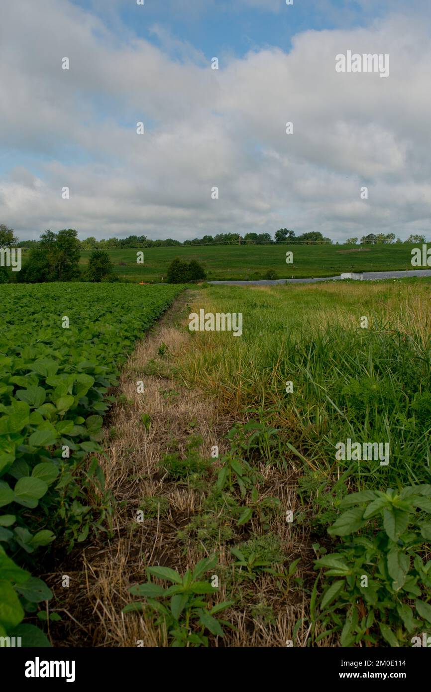 Office of the Administrator - Columbia Farm - landscape photographs ...