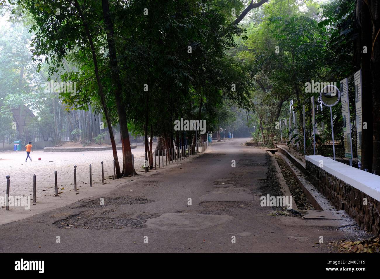 04 December 2022, Pune, India, Empress Botanical Garden, a green ...