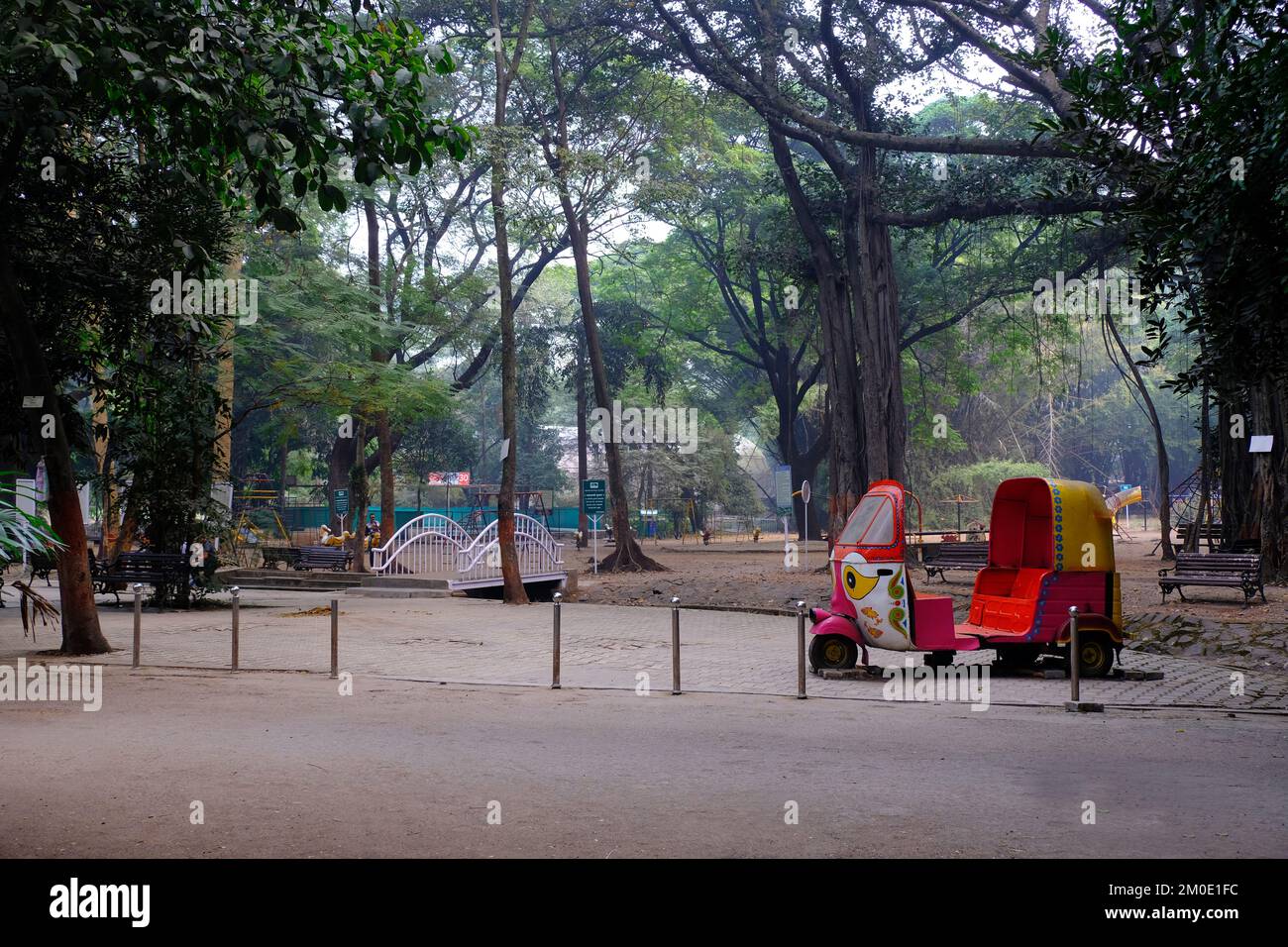 04 December 2022, Pune, India, Empress Botanical Garden, a green ...