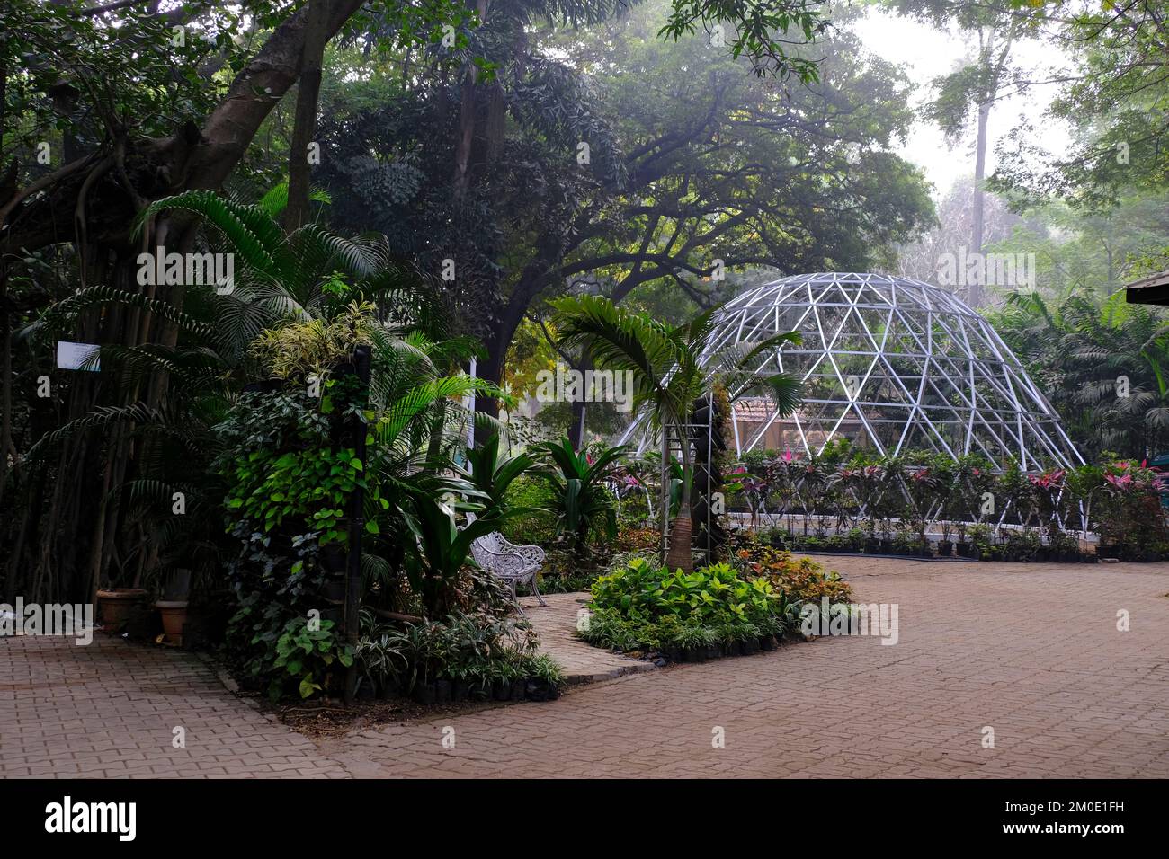04 December 2022, Pune, India, Empress Botanical Garden, a green ...