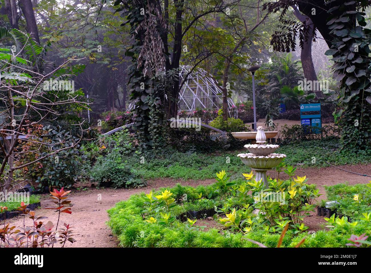 04 December 2022, Pune, India, Empress Botanical Garden, a green ...