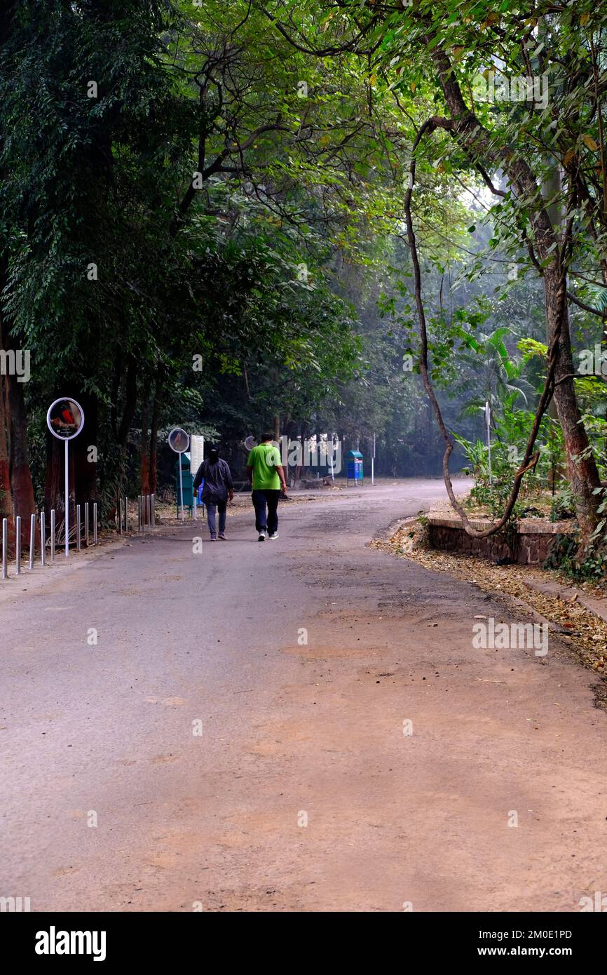 04 December 2022, Pune, India, Empress Botanical Garden, a green ...