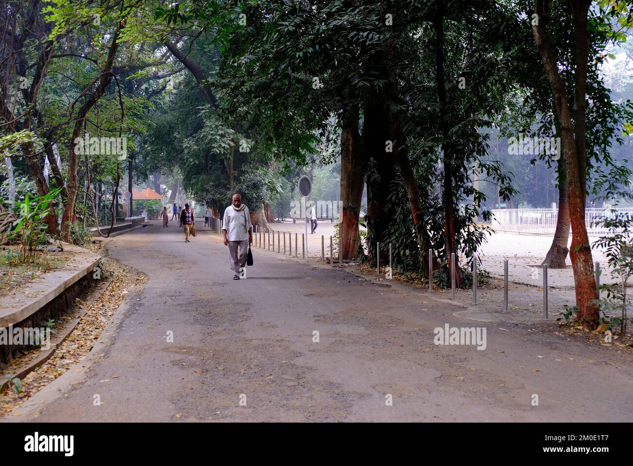 04 December 2022, Pune, India, Empress Botanical Garden, a green ...