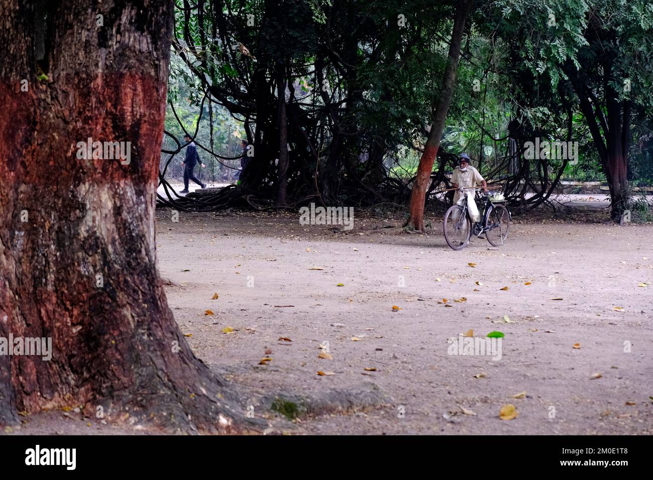 04 December 2022, Pune, India, Empress Botanical Garden, a green ...