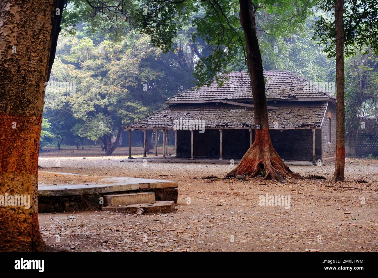 04 December 2022, Pune, India, Empress Botanical Garden, a green ...