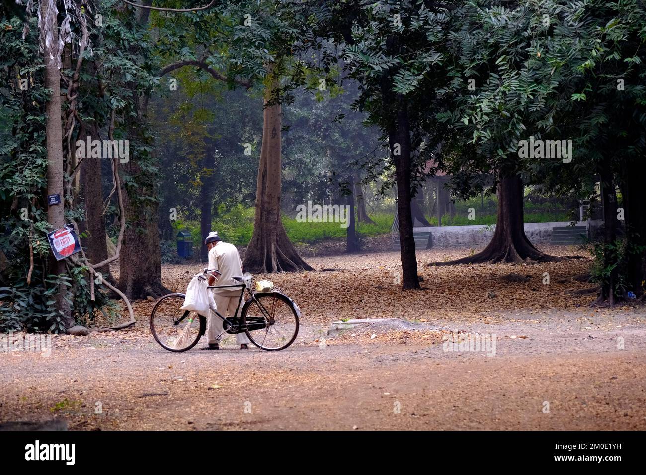 04 December 2022, Pune, India, Empress Botanical Garden, a green ...