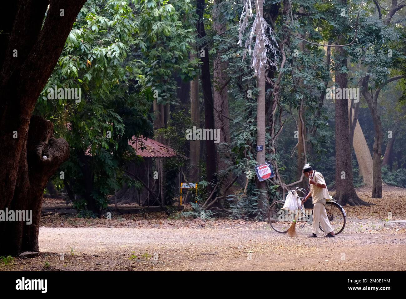 04 December 2022, Pune, India, Empress Botanical Garden, a green ...