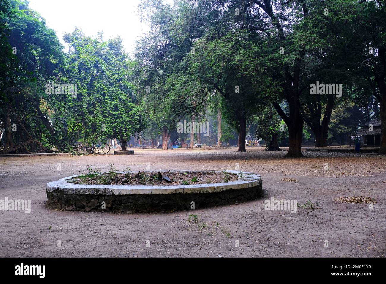 04 December 2022, Pune, India, Empress Botanical Garden, a green ...