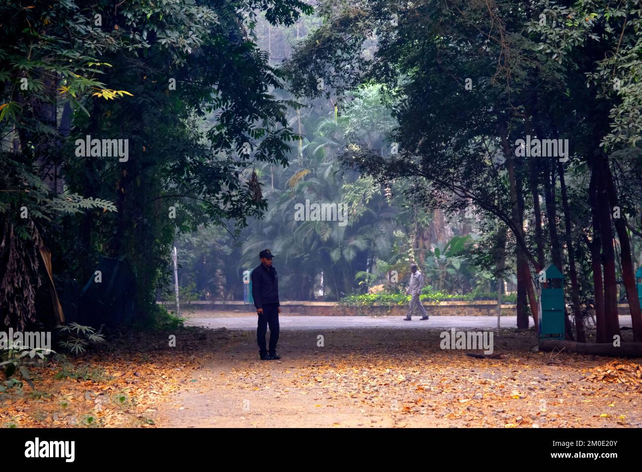 04 December 2022, Pune, India, Empress Botanical Garden, a green ...