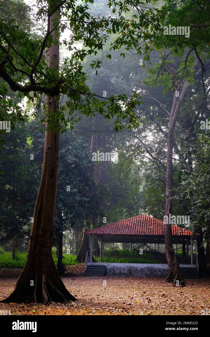 04 December 2022, Pune, India, Empress Botanical Garden, a green ...