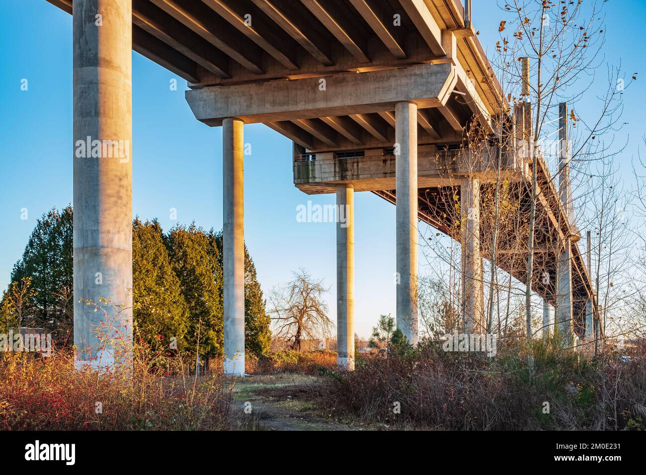 Under Bridge. Concrete bridge pillars. Perspective construction from ...