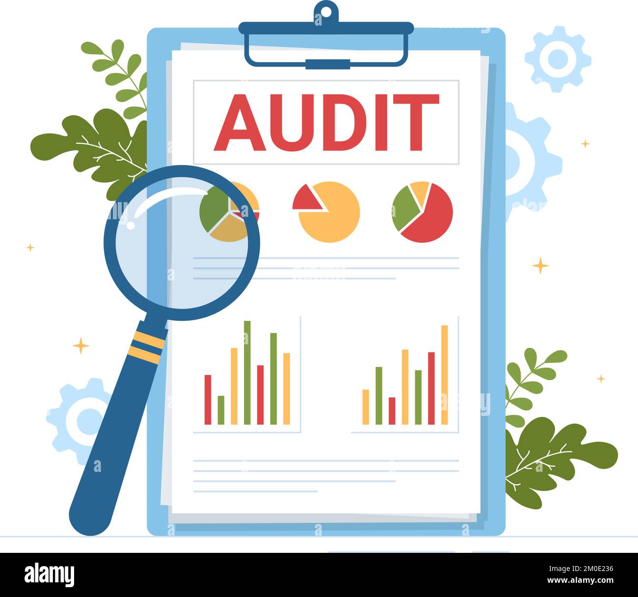 Business Audit of Documents with Charts, Accounting, Calculations and ...