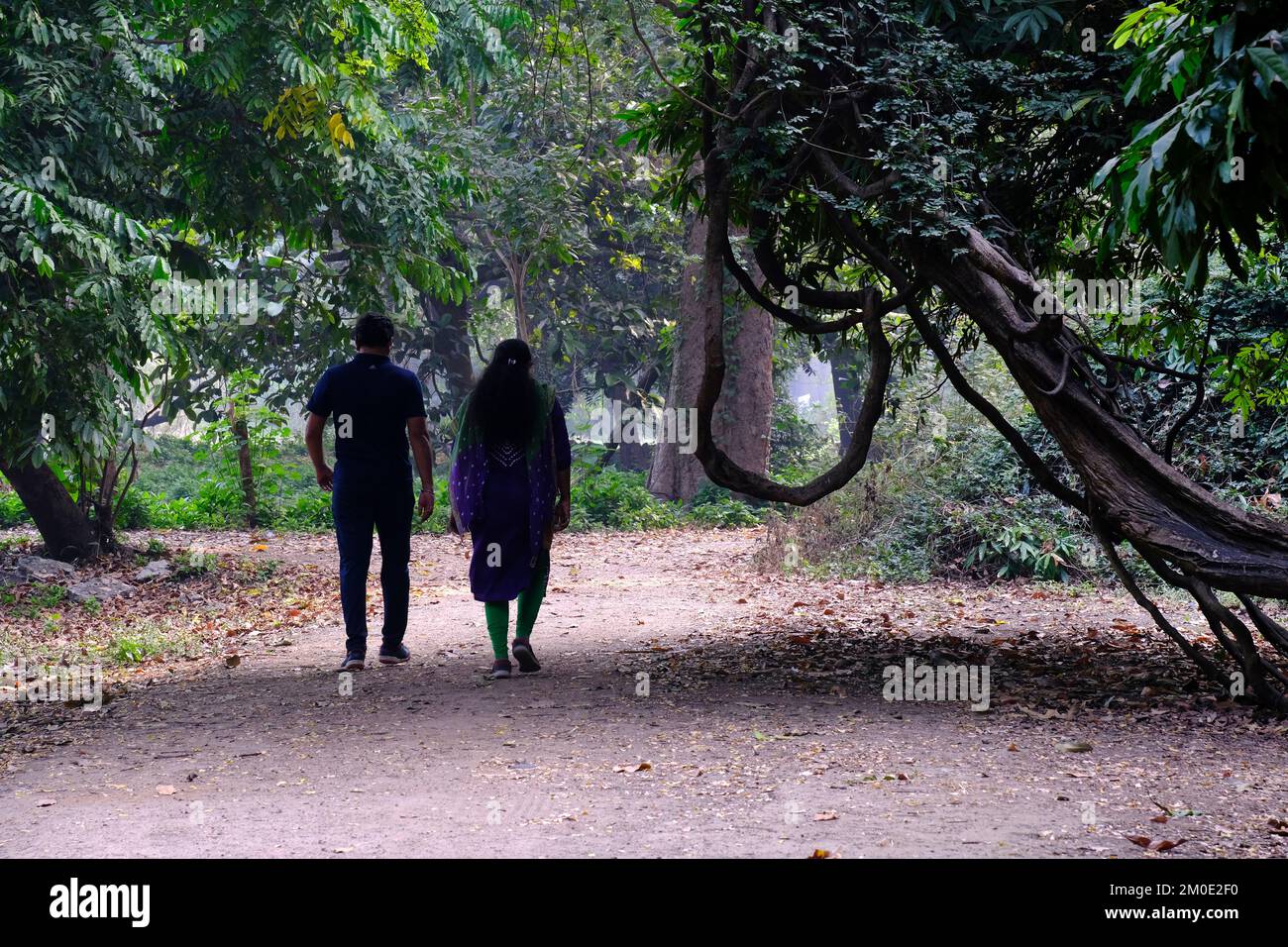 04 December 2022, Pune, India, Empress Botanical Garden, a green ...