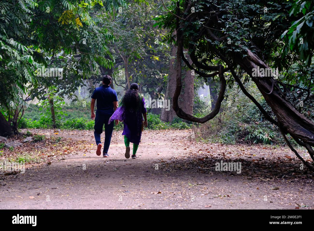 04 December 2022, Pune, India, Empress Botanical Garden, a green ...